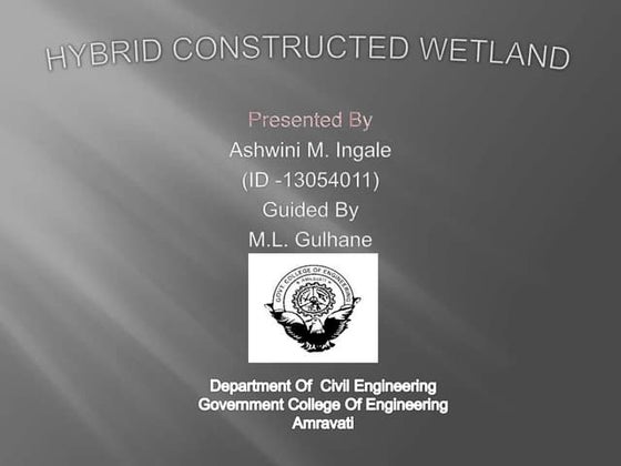 Constructed Wetlands | PDF | Environmental Services Industry | Industries