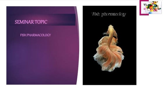 Steps in Pond Preparation (traditional) | PPTX