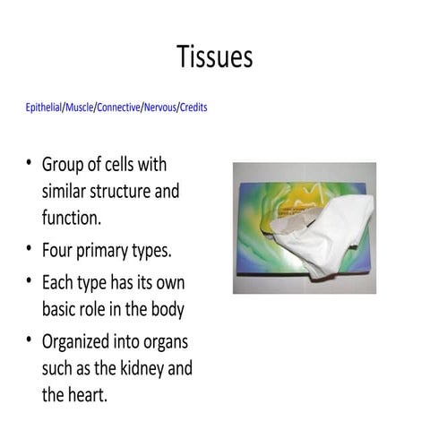 presentation for Histology student .ppt