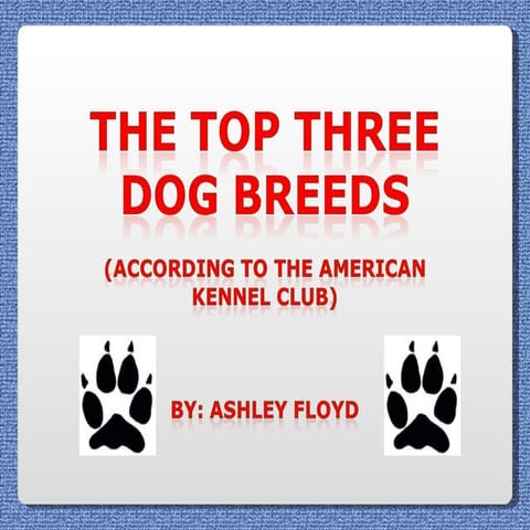 My Power Point | PPT