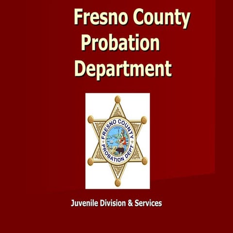 Community Supervision Program Flyer | PDF