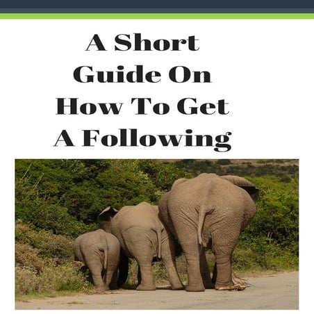 A short guide on how to get a following | PDF