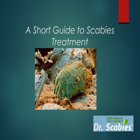 A short guide to scabies treatment 2016 | PPT