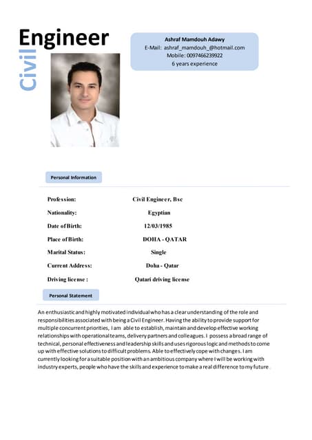 Mohamed Lotfy CV | PDF
