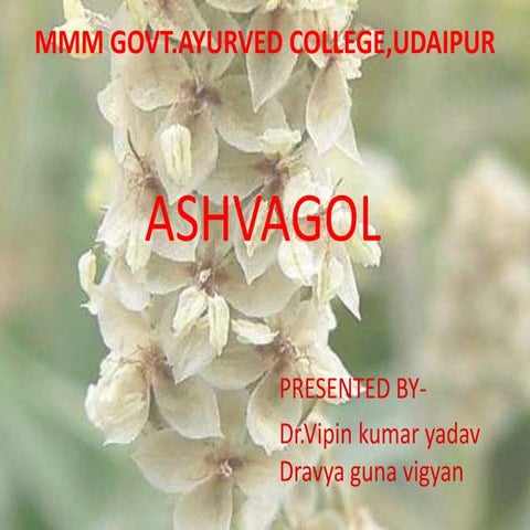 ashvagol.pptx