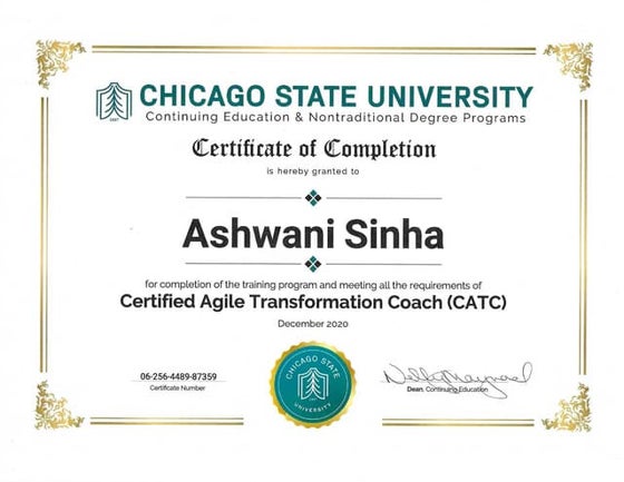 Ashwani Kumar Sinha (scrum@scale practitioner) | PPT