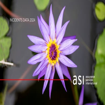 ASI Data Insights for Incidents Submitted in 2024 | PDF