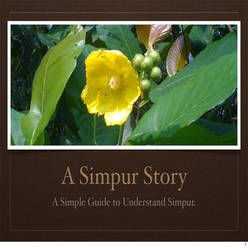 A simpur story | PDF