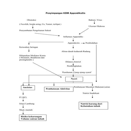 Bagan pathway ispa pada anak