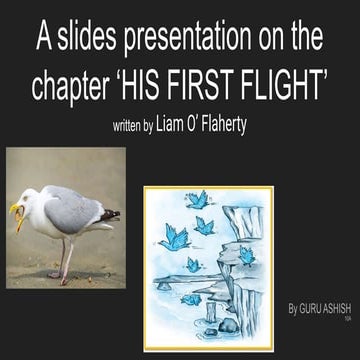 A presentation on the chapter ‘his first flight’ | PDF