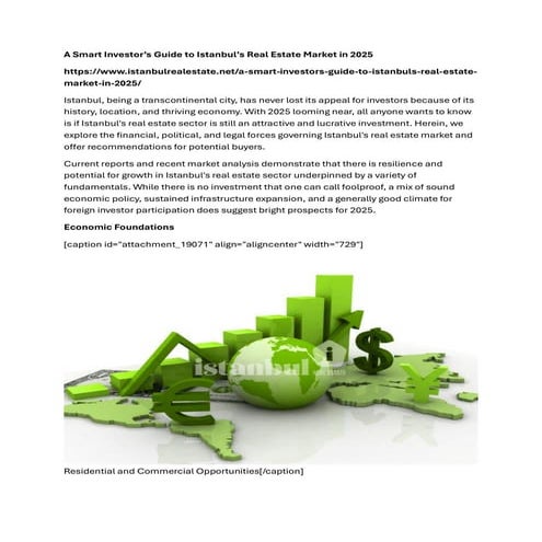 A Smart Investor’s Guide to Istanbul’s Real Estate Market in 2025 | PDF