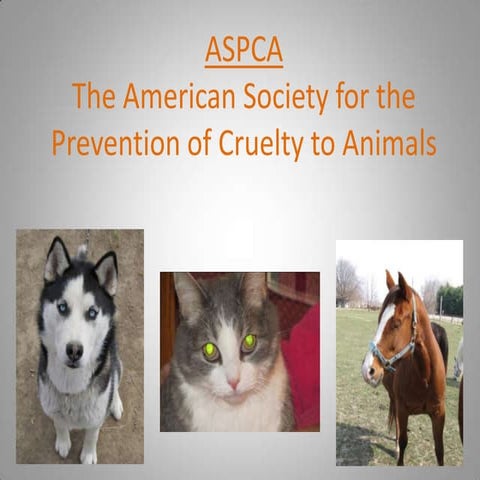 ASPCA | PPTX