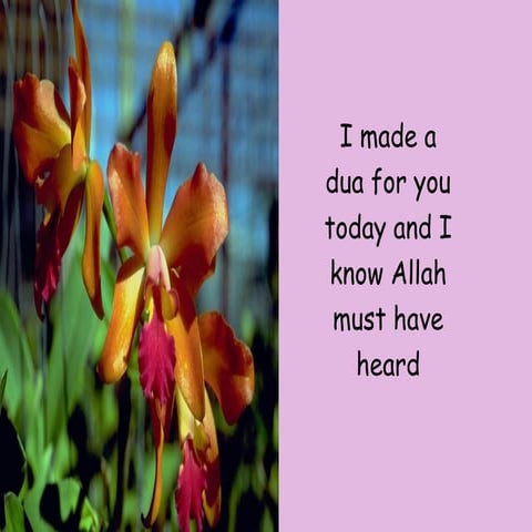 A special Dua | PPT