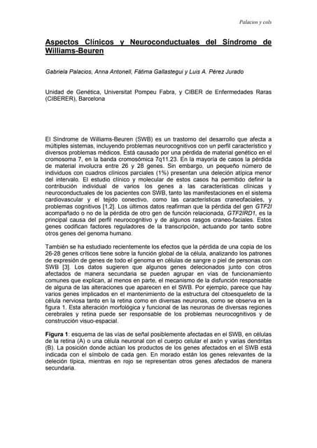 Aspectos Clínicos Y Neuroconductuales Del Síndrome De Williams Beuren Pdf