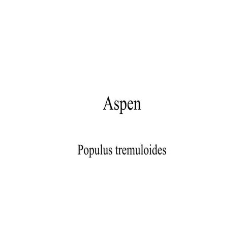 Aspen | PPT