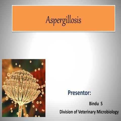 Aspergillus | PDF
