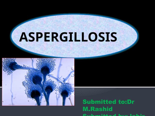 Aspergillus | PDF
