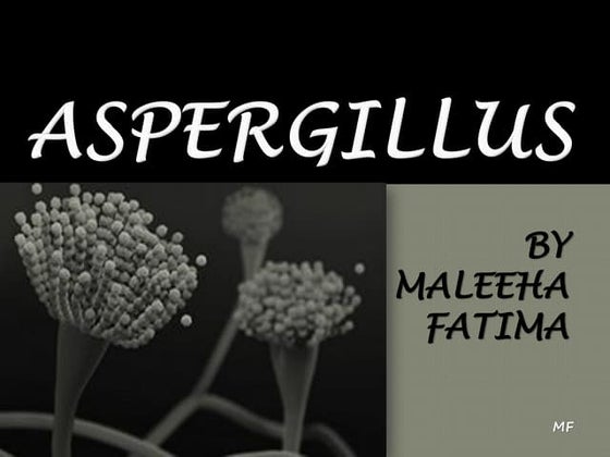 Aspergillus | PDF