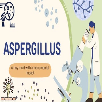 Aspergillus PPT ( economic importance and reproduction) | PDF