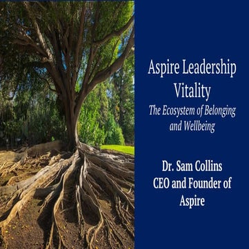 Aspire Leadership Vitality Workshop 2024 | PDF