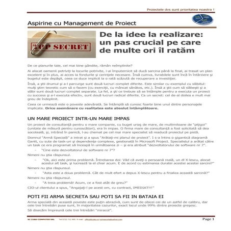 Planificarea pas cu pas | PDF