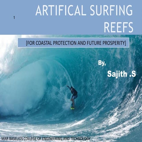 Artificial Surfing Reef | PDF