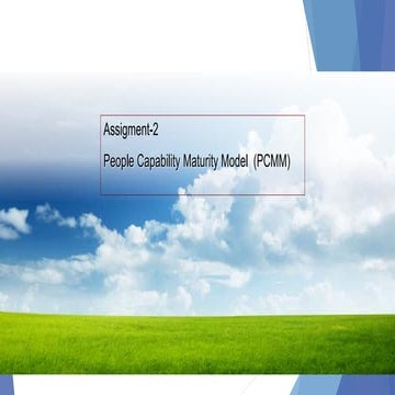 People capability and maturity model levels | PPTX