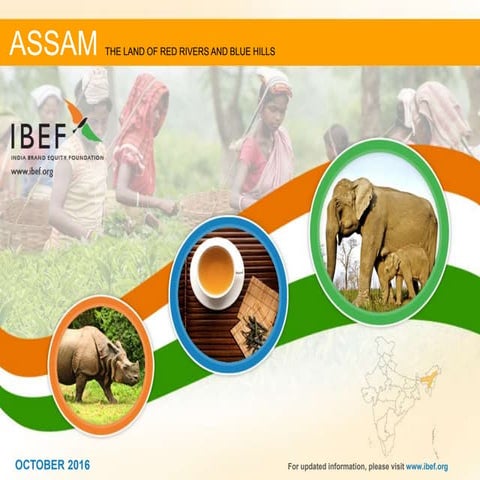 Assam ppt | PPTX