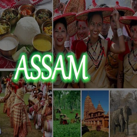 assamppt-161024172823.pptx