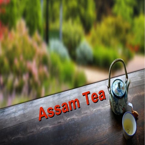 Assam Tea | PPT