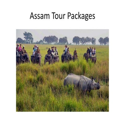 Assam tour packages | PPTX