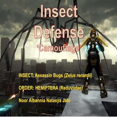 Assasin bug defense | PPT