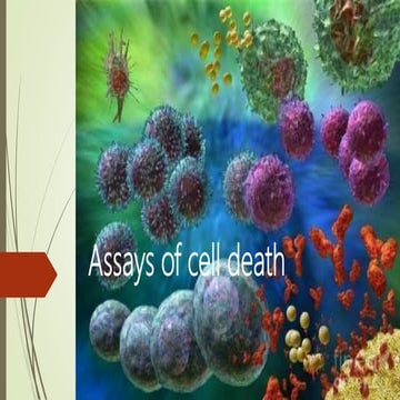 Assays of cell death | PPT