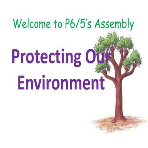 Assembly environment | PPTX