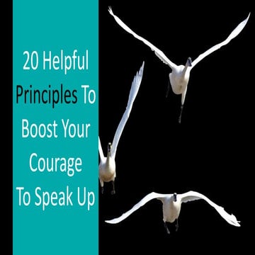 20 Helpful Principles To Boost Your Courage To Speak Up | PPTX