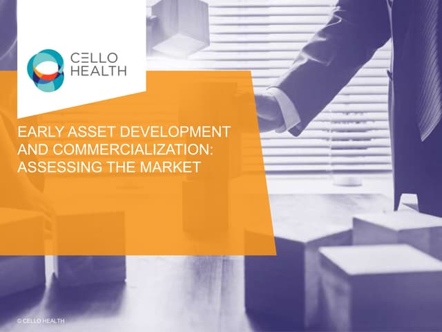 Assessing The Market Opportunity Ppt