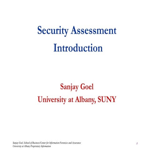 Application Security Risk Assessment | PDF