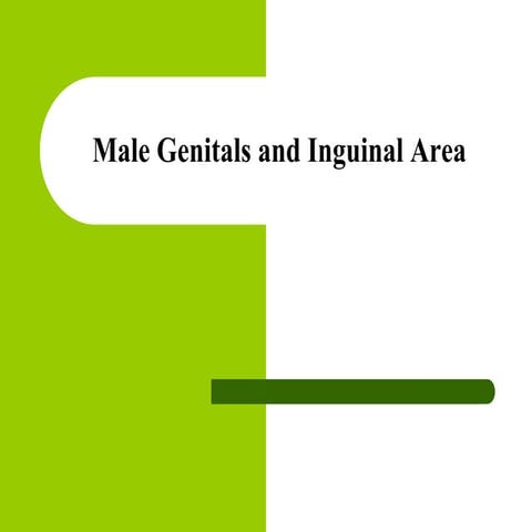 A Guide to the Clinical Male Urogenital Examination | PPTX