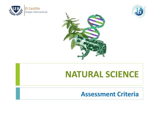 MYP Individuals and Society Criteria of assessment | PPT