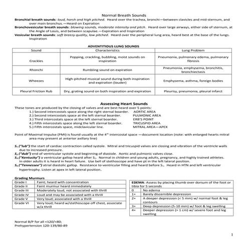 Nursing Student Assessment Guide | DOC