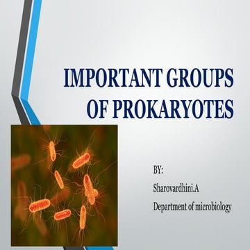 Important groups of prokaryotes : Bacteria & Archaea , it’s Subgroups ...