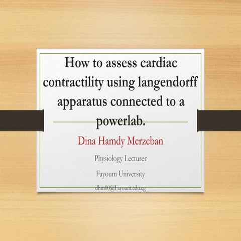 Assessment of cardiac contractility using langendorff apparatus ...