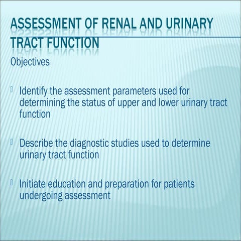 Assessment of renal and urinary tract function | PPT