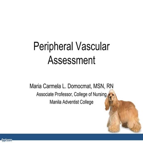 Assessment peripheral blood vessel | PDF | Heart and Cardiovascular ...