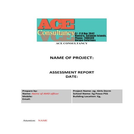 Assessment report template | PDF