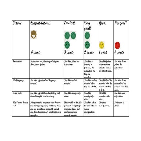 Science fair judging sheet | PDF