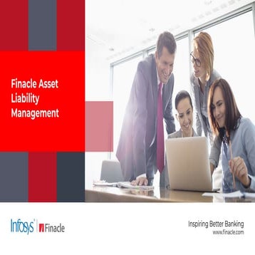 Finacle Asset Liability Management | PDF