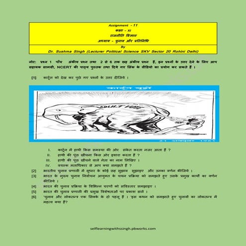 Assignment 11 Election and Representation | PDF