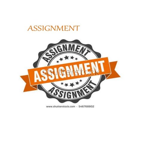 Assignment | DOCX