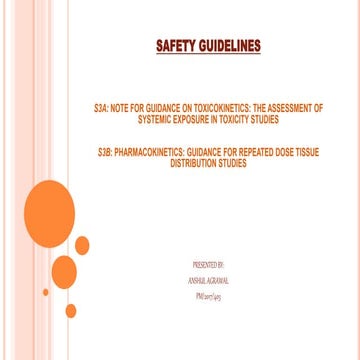 Safety guidelines- S3A and S3B | PPTX